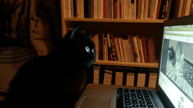 Software Engineering | André Kovac